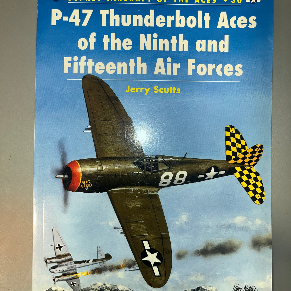 Osprey: VIII FIGHTER COMMAND AT WAR ‘Long Reach' – Zhukov's Attic