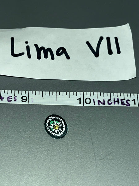 1/6 Scale WWII German Gebirgsjager Patch - Dragon – Zhukov's Attic